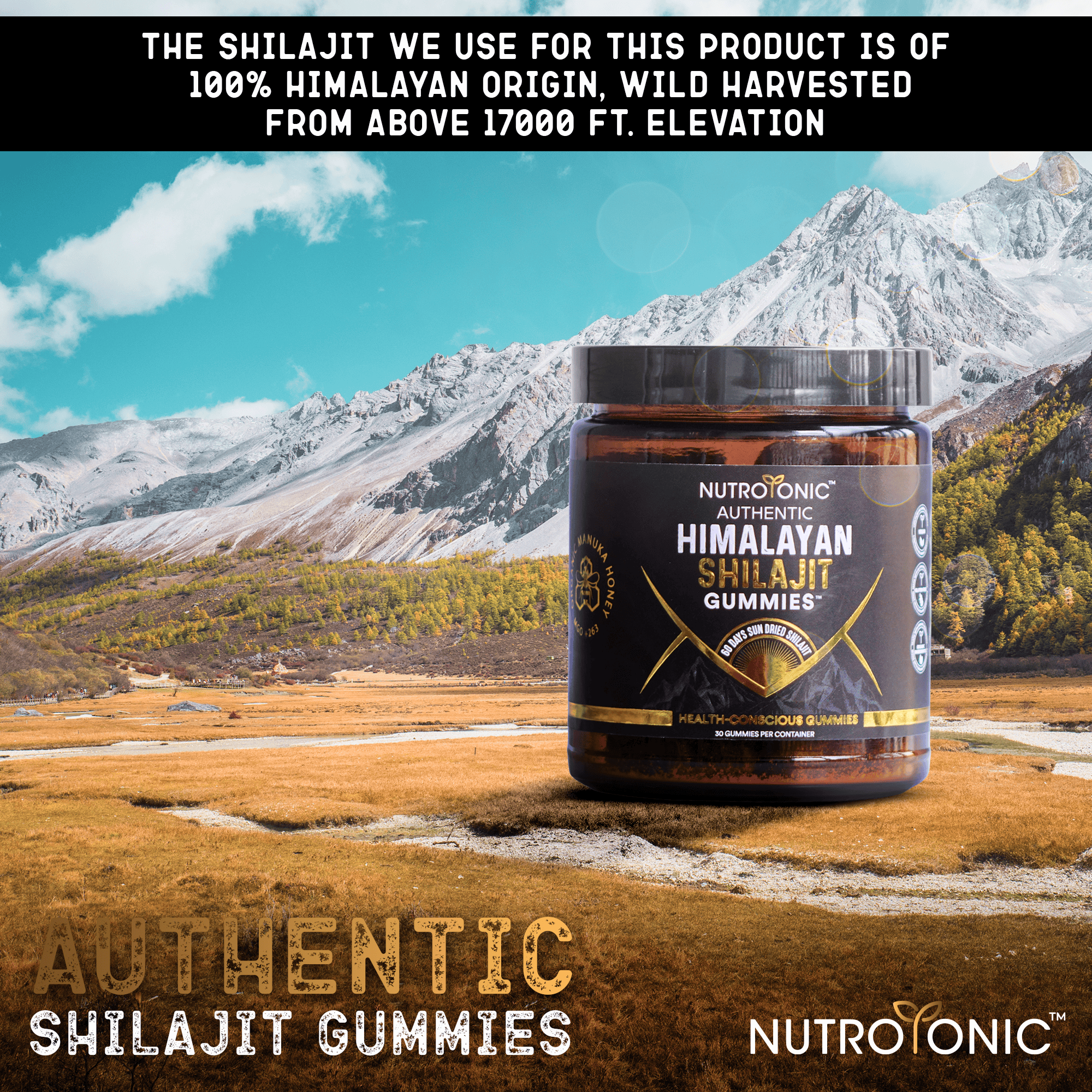 Authentic Himalayan Shilajit Gummies Sweetened with Organic Manuka Hon ...